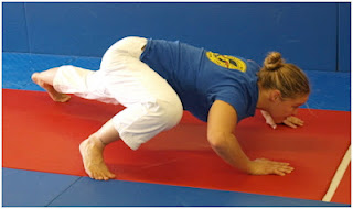 The Business/Judo of Life: Animal Judo II: The Gecko