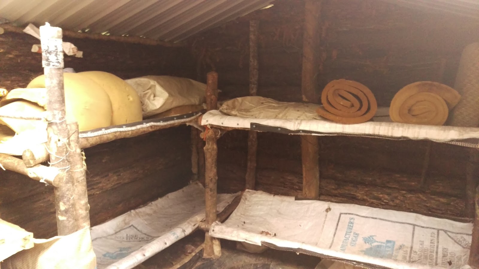 Tramping: Punga Hut or Miro Valley Hut