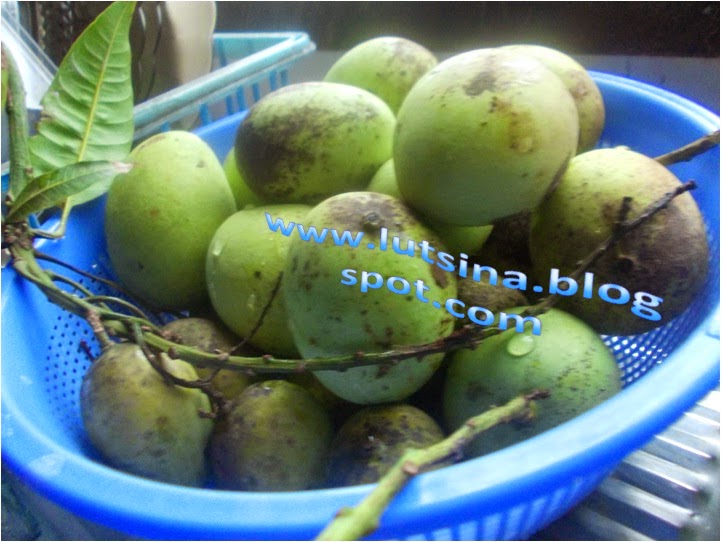 Detik-detik Kehidupan: Sedapnya... Pelam Epal