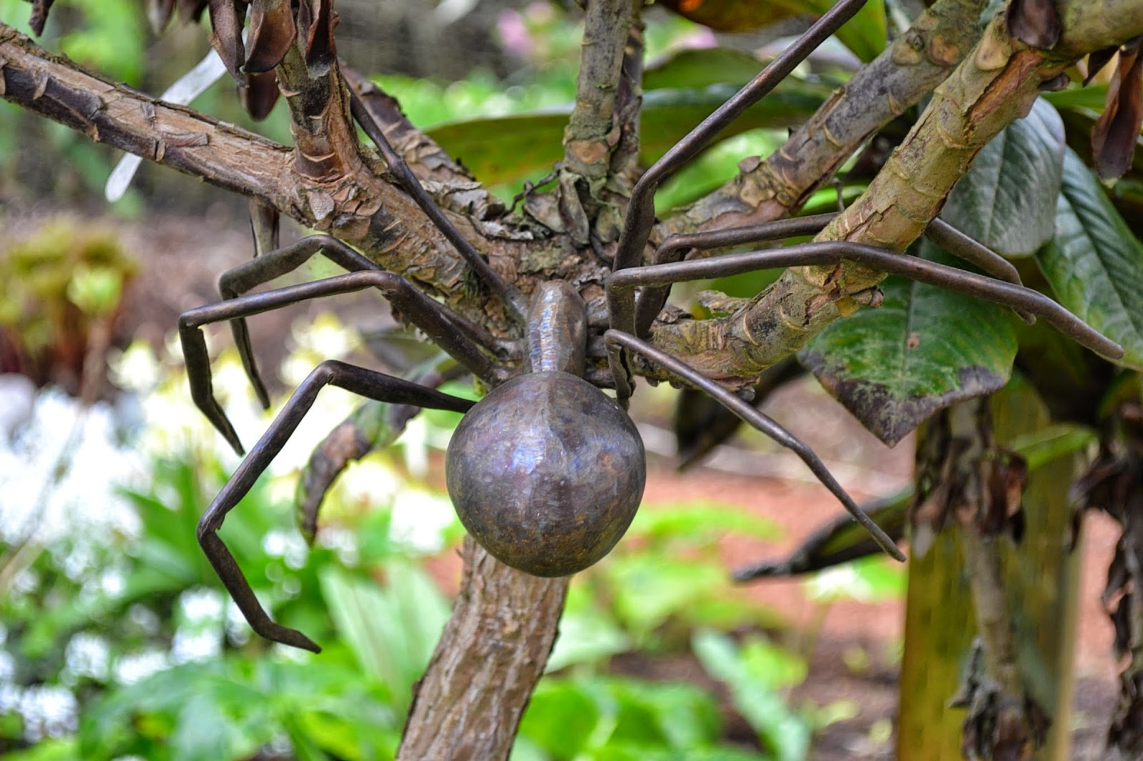 The Outlaw Gardener: Far Reaches Farm "Soft Opening"