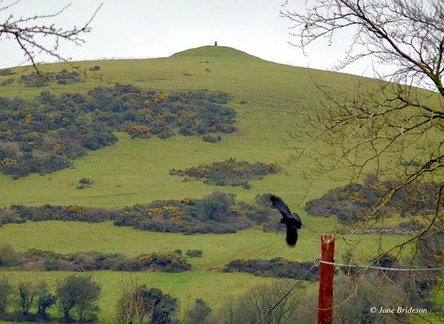 The Ever-Living Ones: The Protection of Brigid - making the three-armed ...
