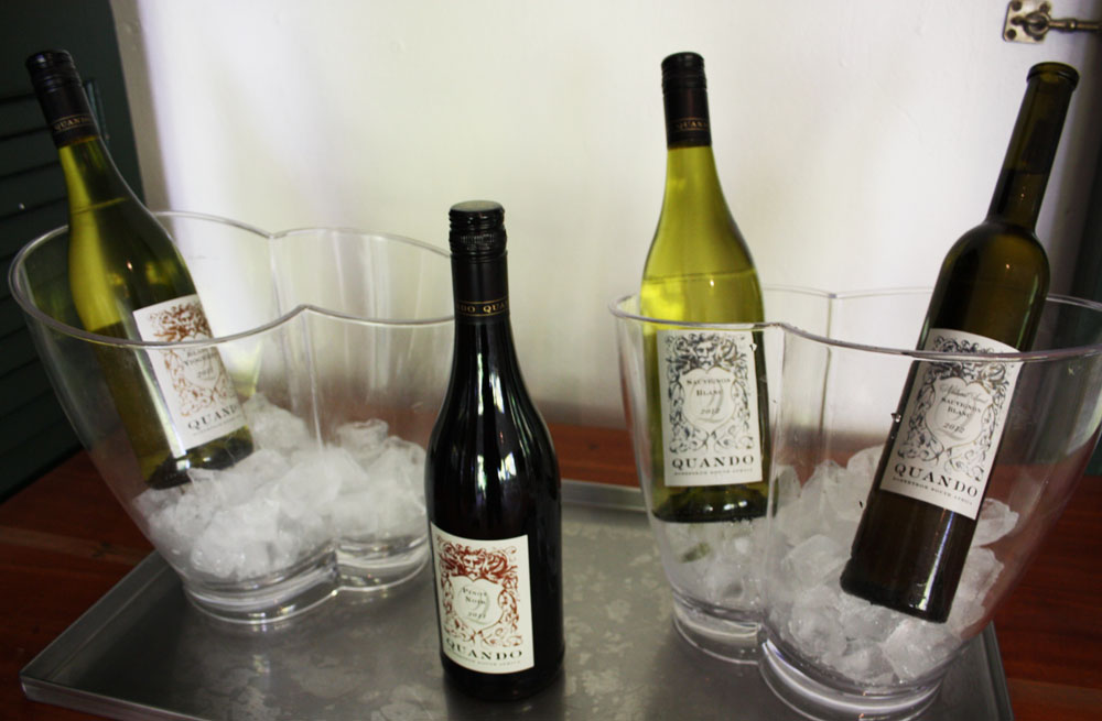 20-something in Cape Town: Wacky Wine 2012 wrap-up