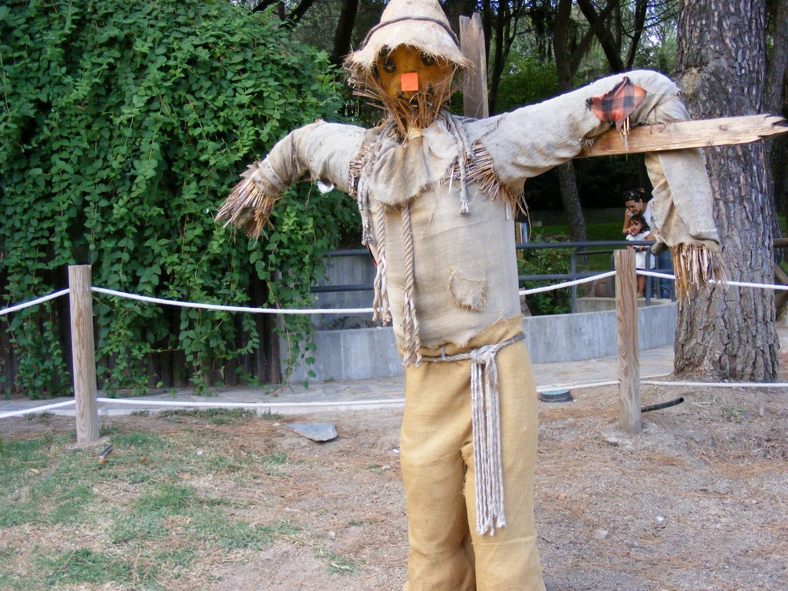 AMIGOS DE BALDOMERO: EL ESPANTAPAJAROS