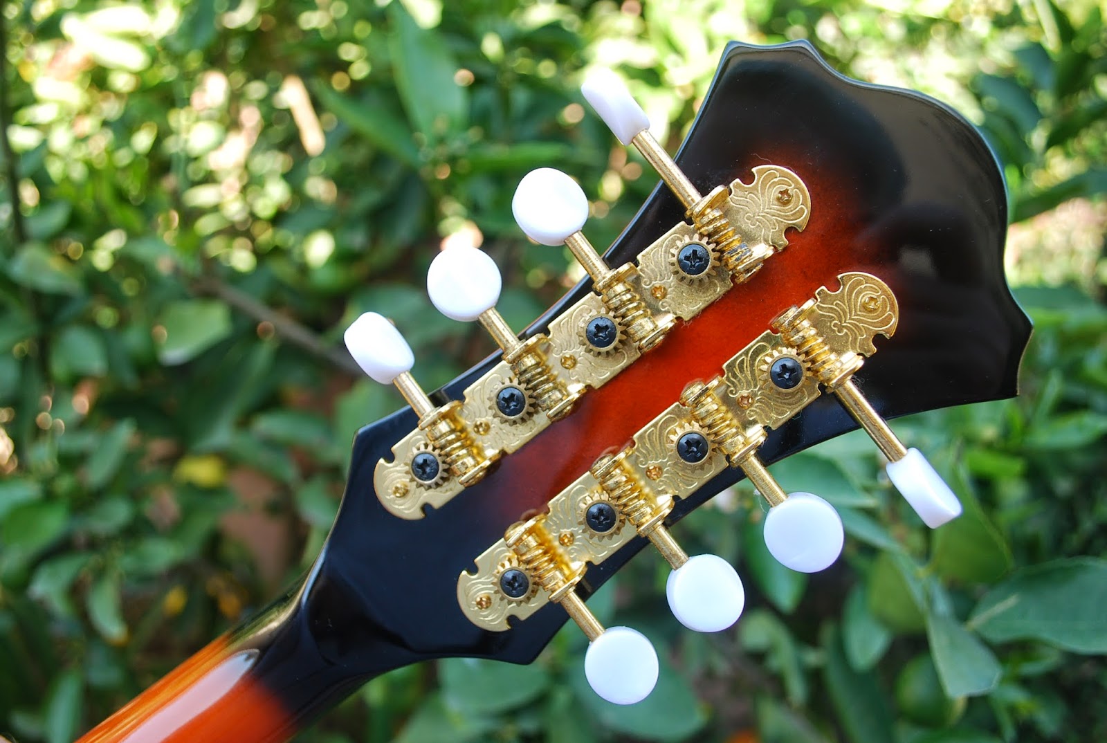 Rex and the Bass: 2014 Ibanez F Style M522S-BS Mandolin Review
