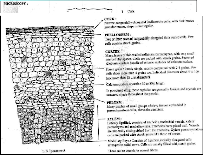 .: T.S & Their Characteristics