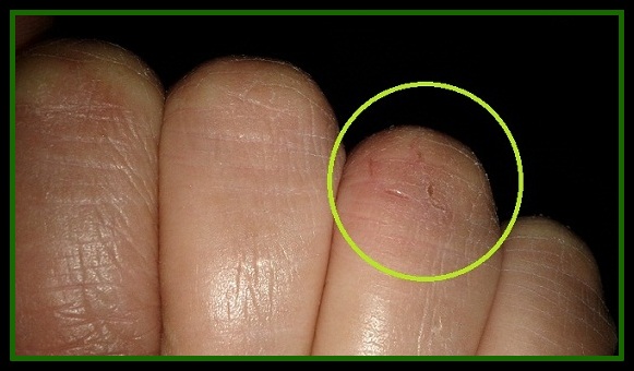 Blog Archives - fileimage