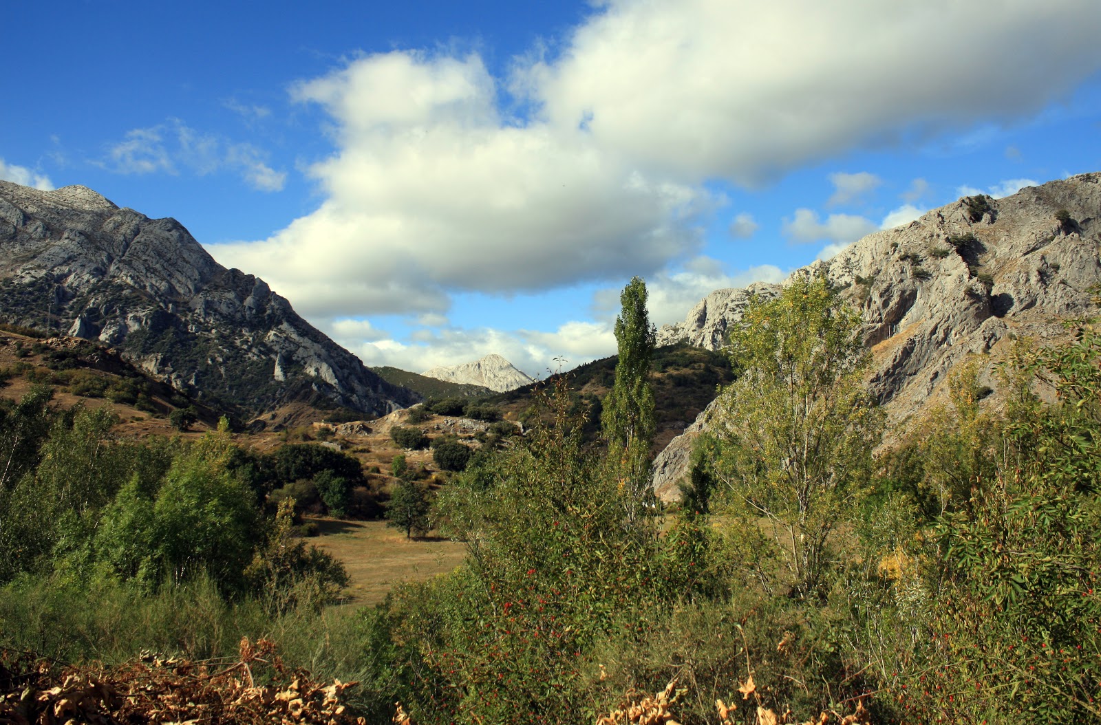 Momentos. Lugares.: VALDEPIÉLAGO Y MONTUERTO