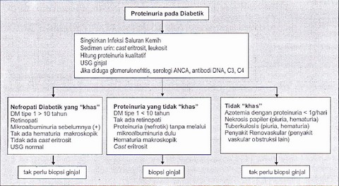 sikkahoder: Nefropati diabetik : Patofisiologi, patologi dan ...