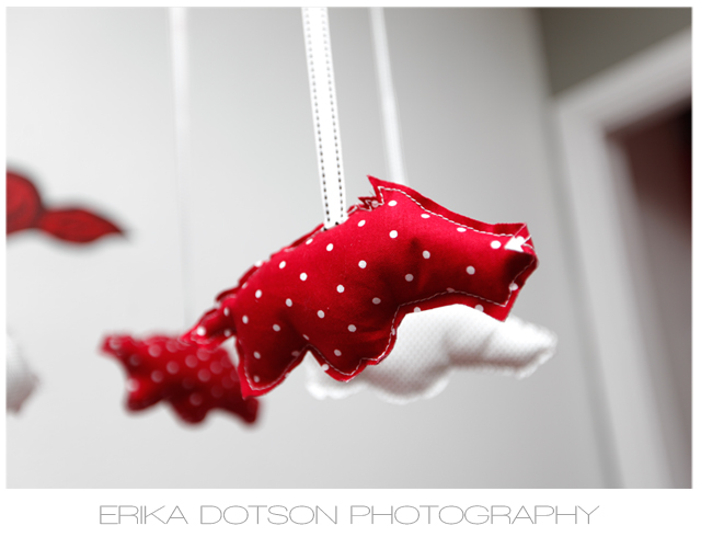 Razorback Room Reveal!