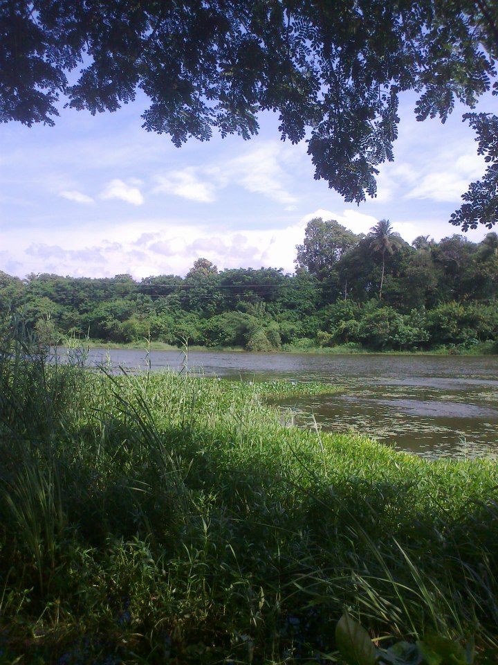 GOVT COLLEGE CHITTUR STUDENTS TRYST FOR SHARING VIEWS ,INFORMATIONS AND ...