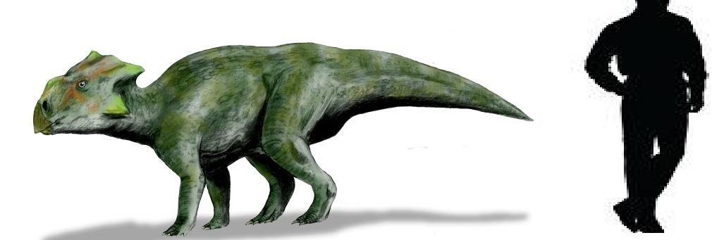 Los animales en la prehistoria: Animales prehistóricos con la letra B