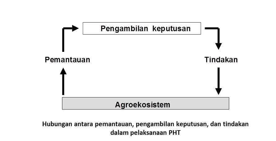 Pengendalian Hama Terpadu (PHT)