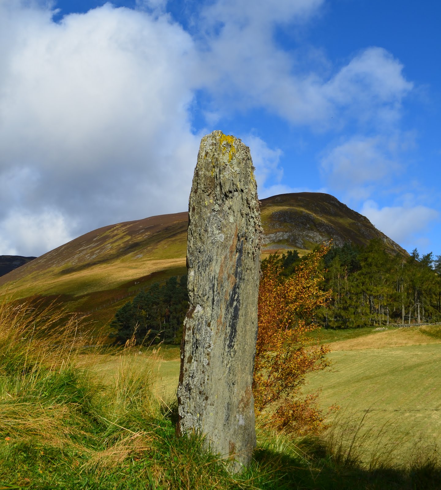 Tour Scotland: Tour Scotland Photographs Video Parliament Stone ...