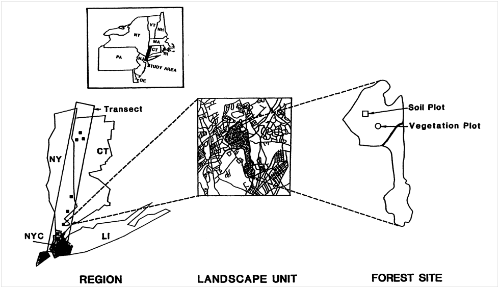 BES Urban Lexicon: Urban-rural Gradient