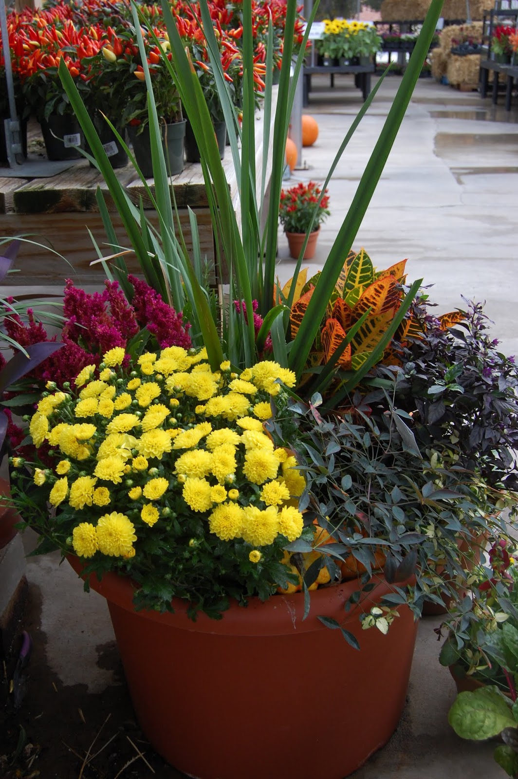 Lenna - My Pot Guru - Preppy Empty Nester F