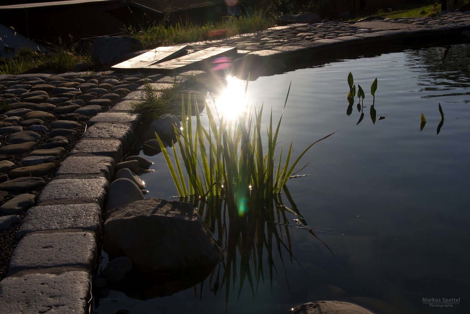 Markus Spettel Photography: Juni 2012