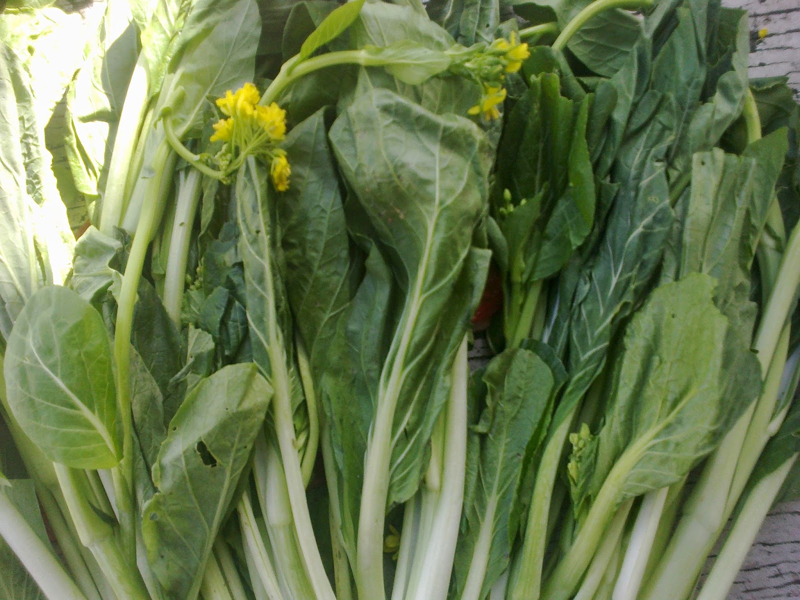 dalikan: Organic Food: Vegetable Sauté - Onion, Garlic and Flowering ...