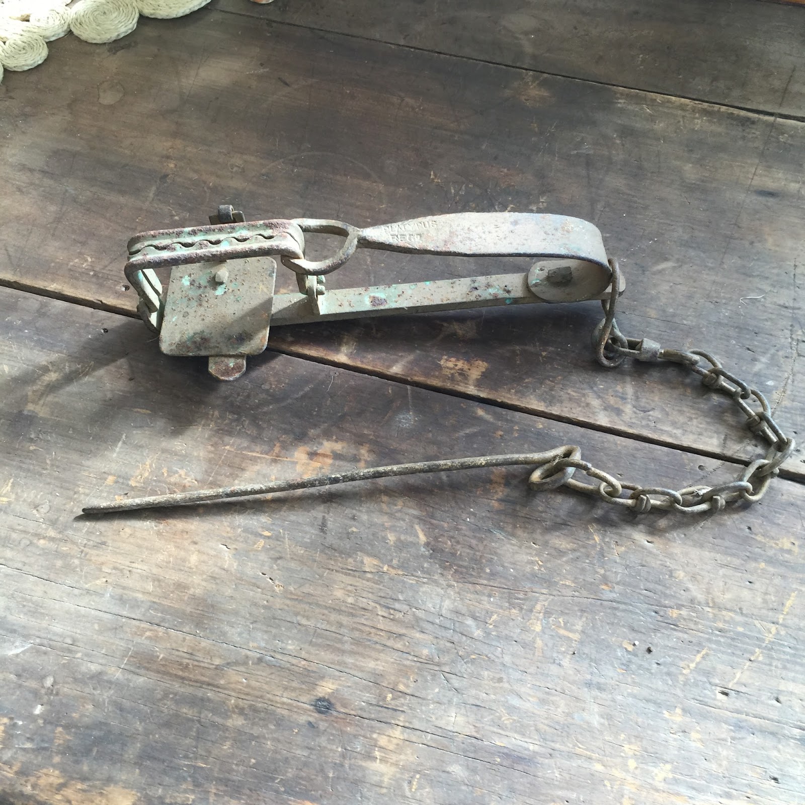 the old boathouse: Platypus Rabbit Trap