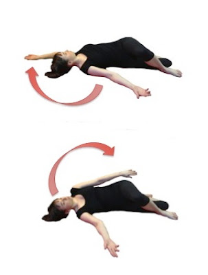 Exercise of the Day: Day 317- #4 Stretch with Spine Stretch and Arm Circles