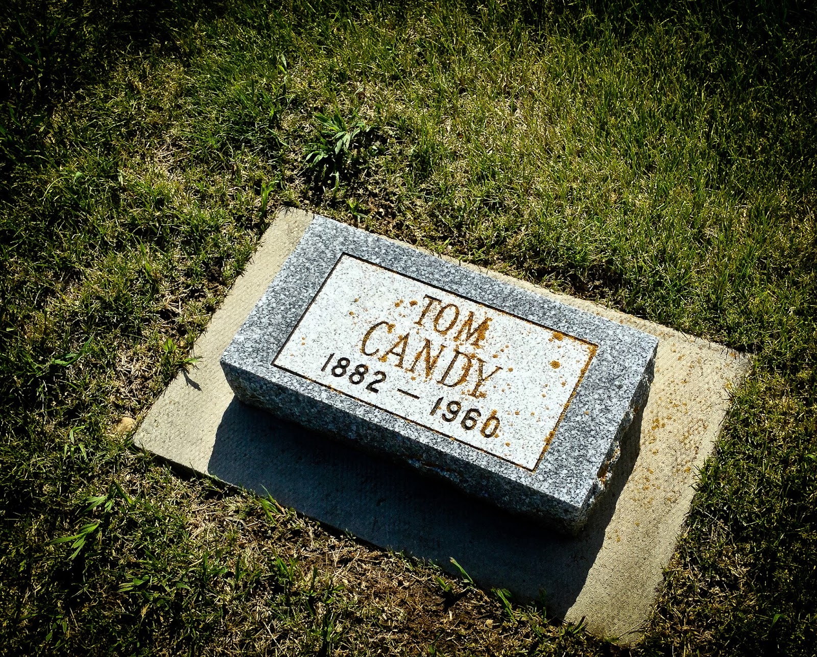 Ken and Jan's Arctic Fox Tales: Final Resting Places of Uncle Tom ...