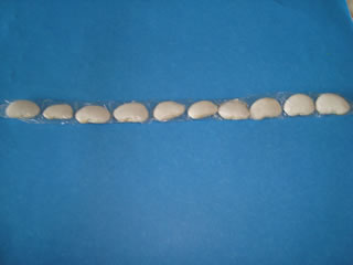 COMPARING CENTERS - Dr. Jean & Friends Blog