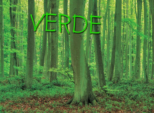 INFANTILES DE ANA V.: LOS COLORES: EL COLOR VERDE