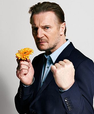 Hollywood All Stars: Liam Neeson Profile and Images