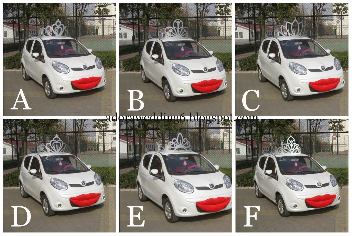 Adora Wedding Accessories: Wedding Car Decor Set