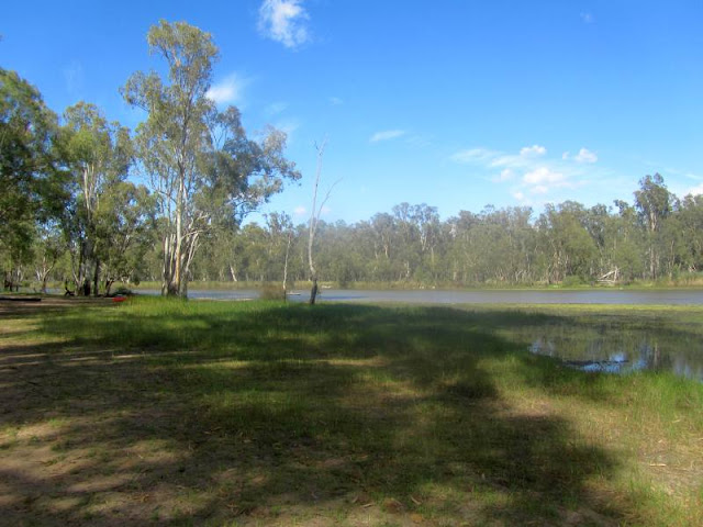 TRACKS, TRAILS AND COASTS NEAR MELBOURNE : Barmah National Park ...