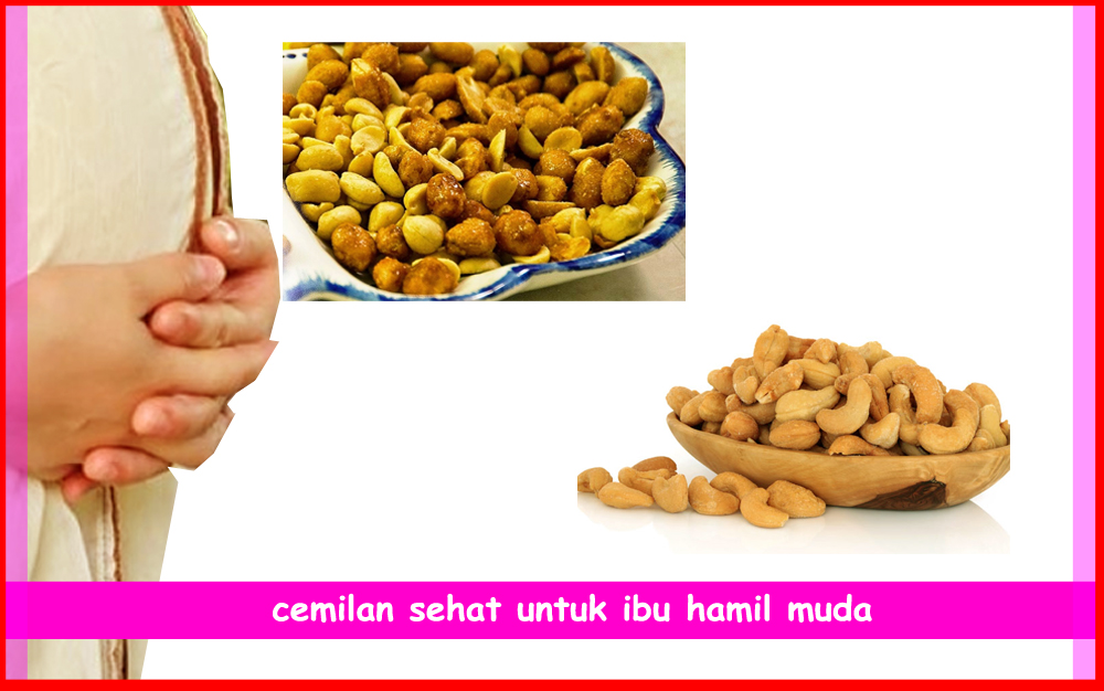Cemilan Sehat Untuk Ibu Hamil Muda Yang Enak | Kebidanan.id Cemilan Sehat Untuk Ibu Hamil Muda Yang Enak | Kebidanan.id