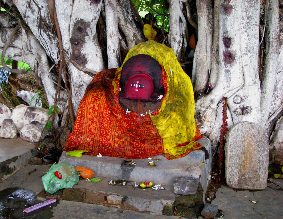 Shadow Dancing with Mind: STILL LIFE : On the way to Puri - Lord ...