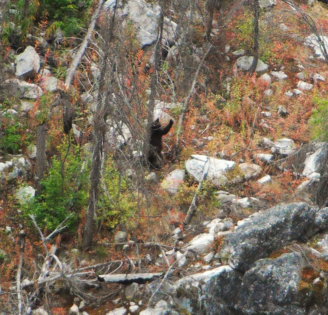 STAY VERTICAL: Split Creek, Secesh River Loop