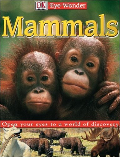 Children's Books About Mammals - Every Star Is Different