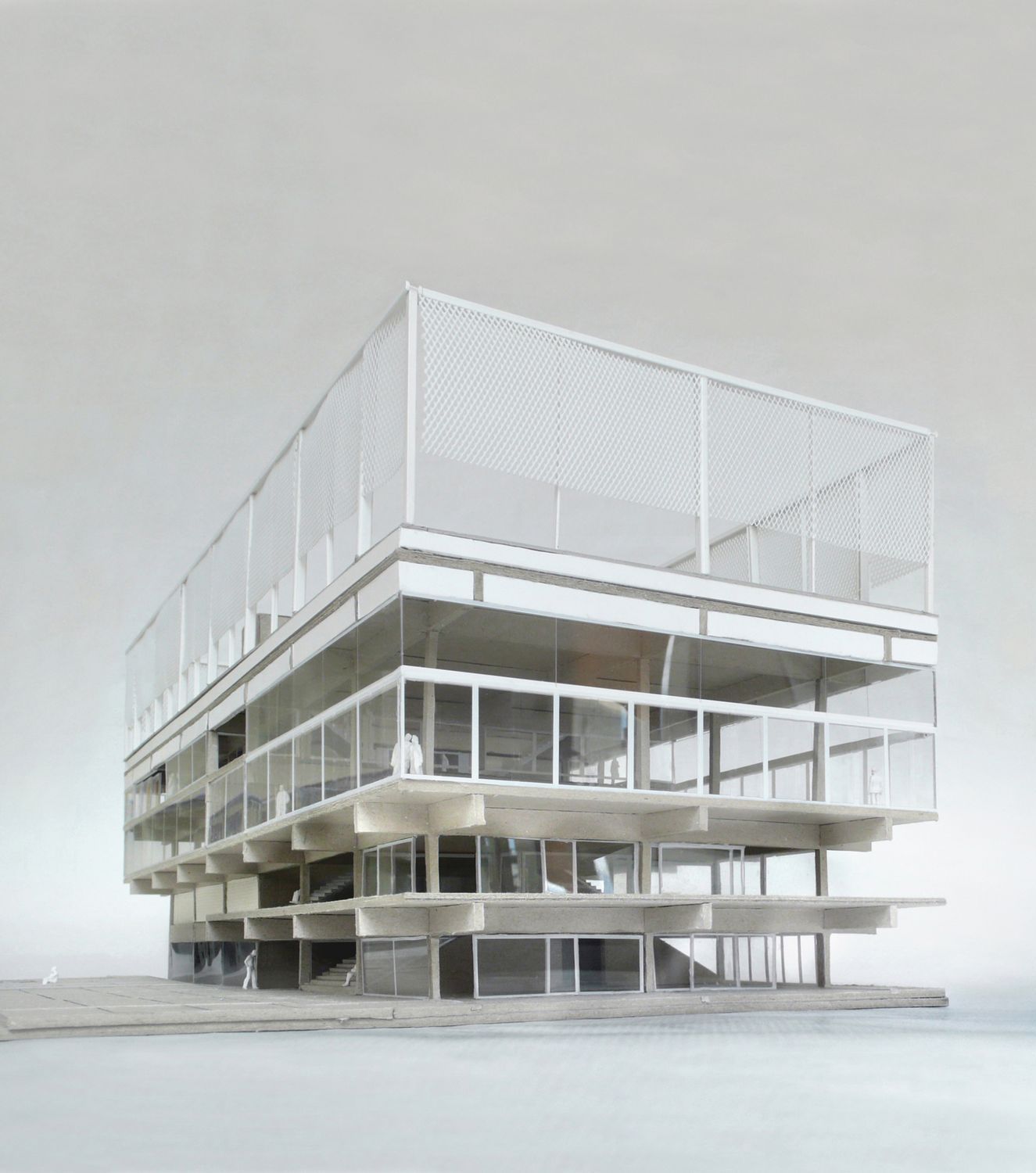 Muoto – a f a s i a