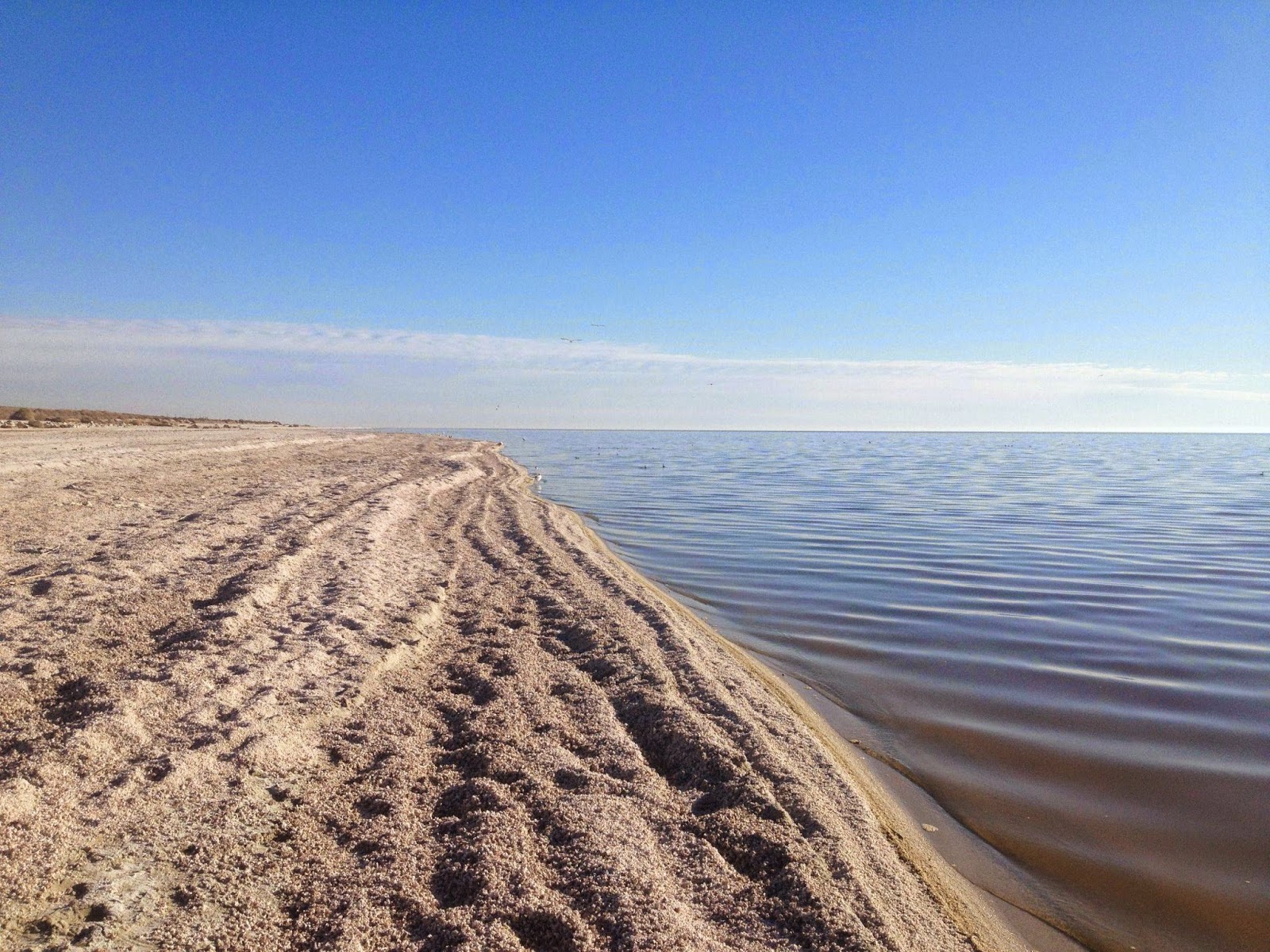 strange spots: Bone Beach!