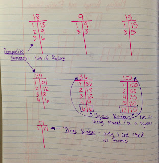 The 4th Grade May-niacs: Finding the Factors of 12
