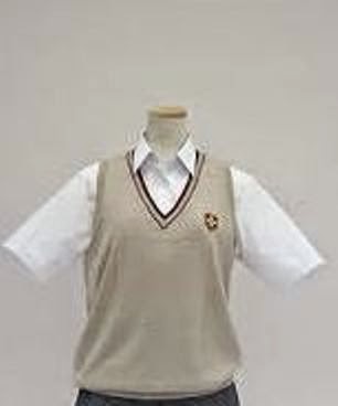 MODEL ROMPI OSIS 252