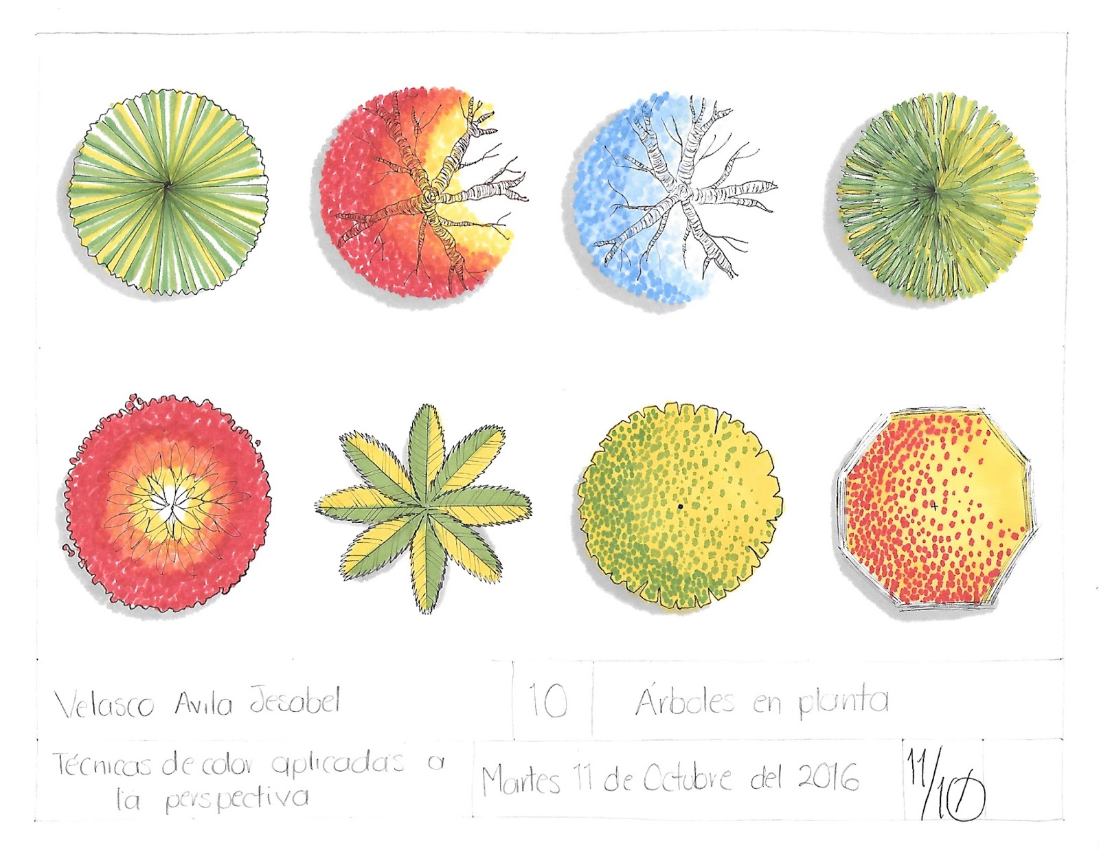 Arquitectos en Proceso: Árboles en Planta Generacion Ago 2016