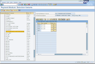 SAP - Data Medium Exchange (DME): Data Medium Exchange (DME ...