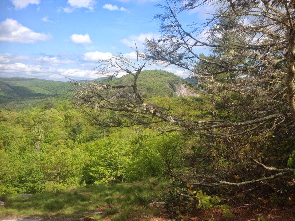 SAPS-NCGA: Panthertown Valley hike with Dan Pittillo