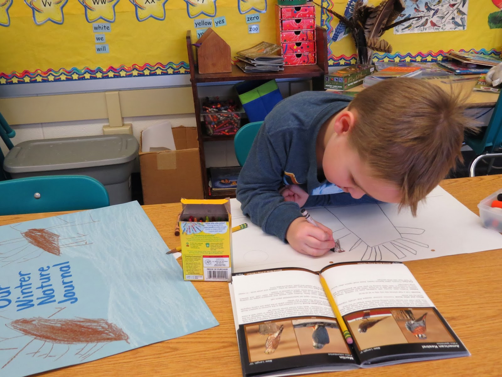 Our Kindergarten Adventure: Nature Observation Journal