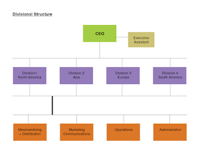 SHAMIKO.blog: 5 Types of Organizational Structures
