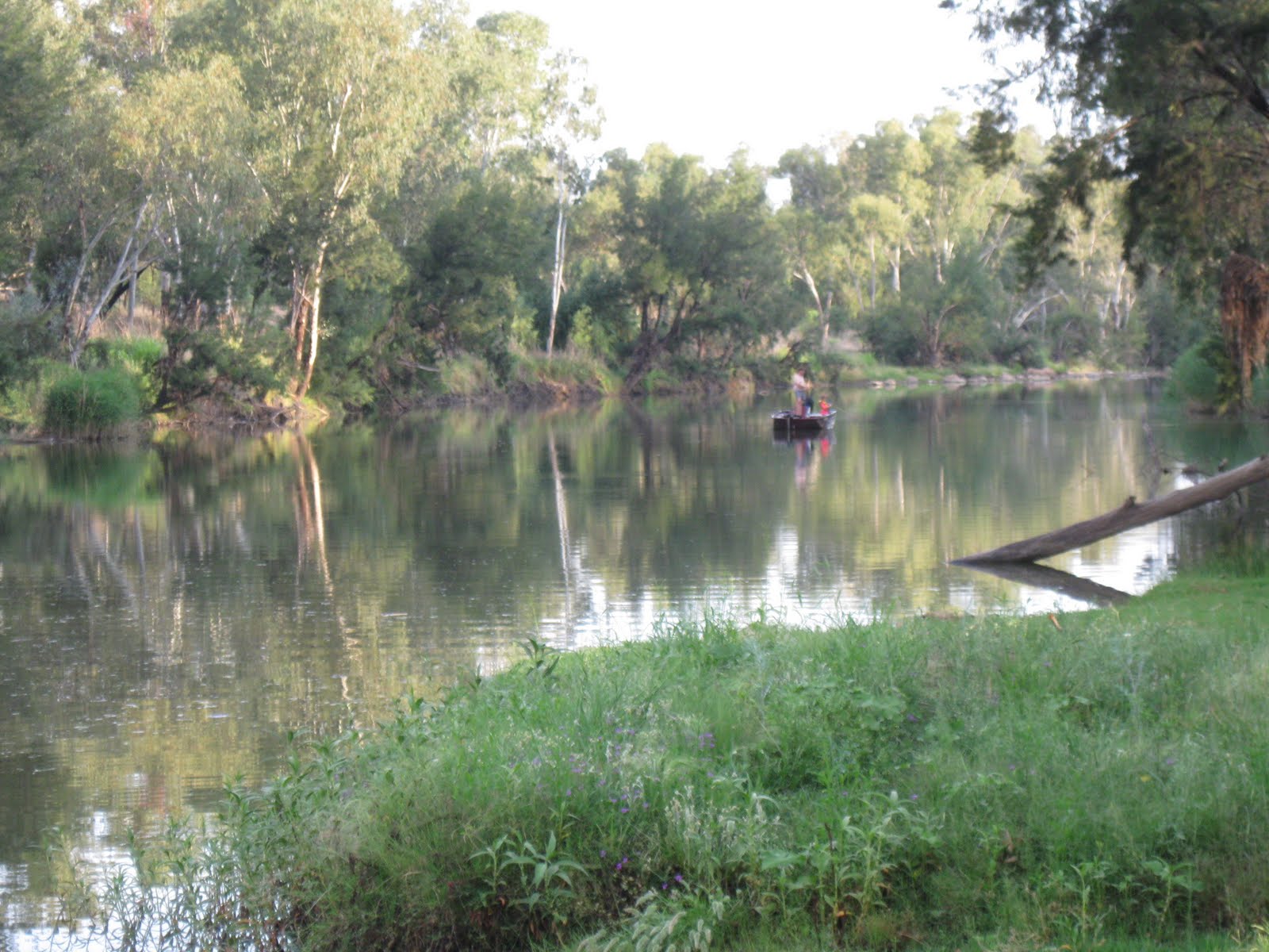 Robin's Double Life: Fishing on the Maranoa River -- Mitchell outback Qld