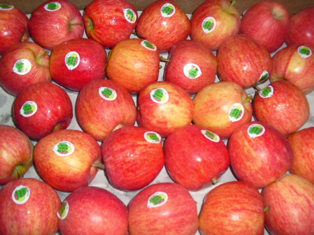 Caraka Purwo Wibisono: Mengenal manfaat dan khasiat buah apel royal gala