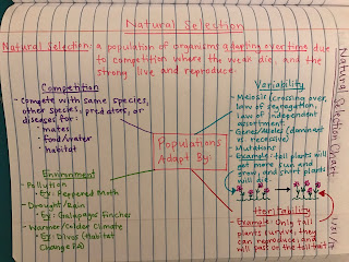 Mrs. Paul - Biology: Biology 2016-2017 Charts/Notes