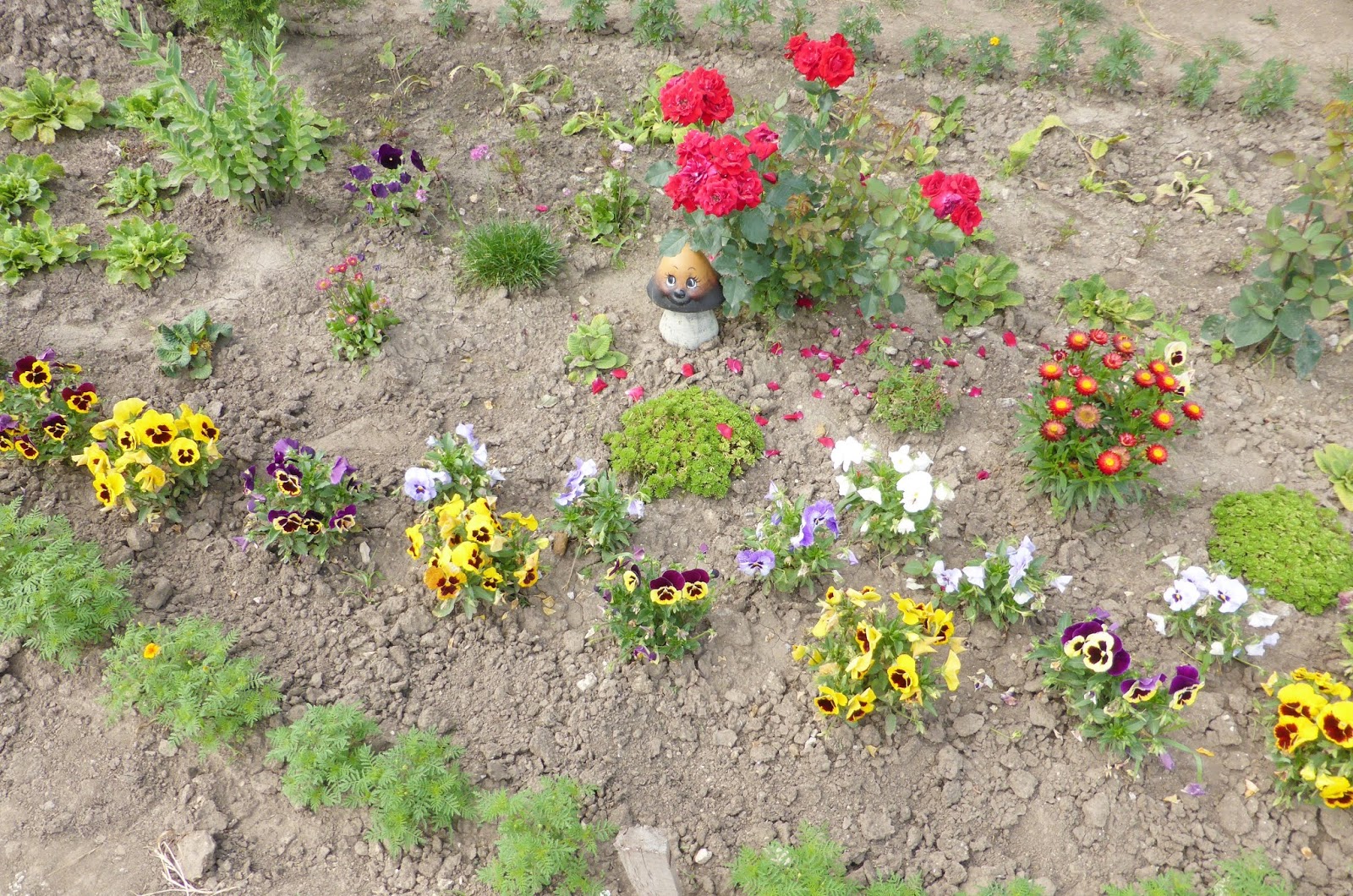 Beauty of dreams : Co słychać w ogródku :)