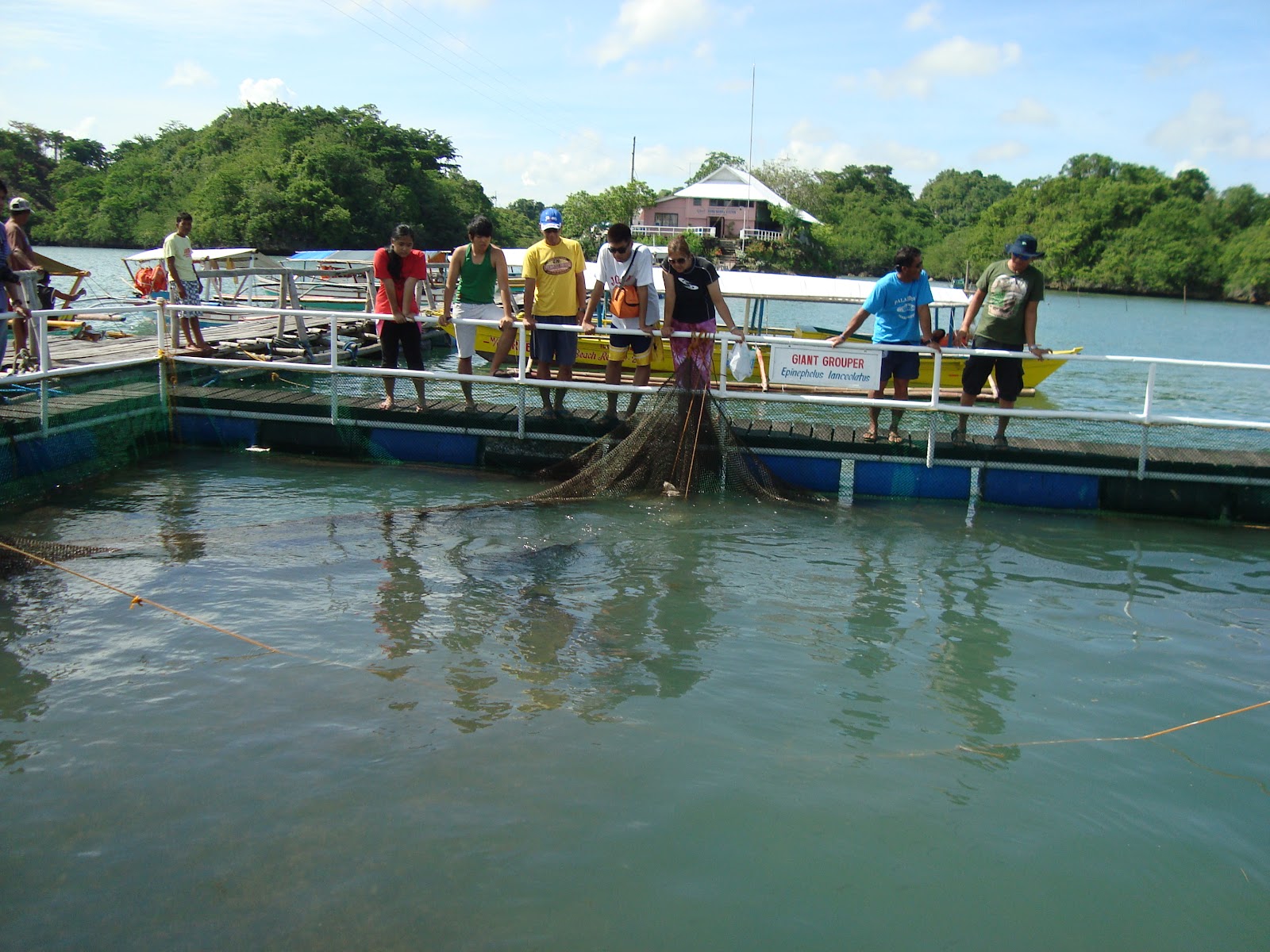 Living with Nature - School on Blog by Dr. Abercio V. Rotor: Have you ...