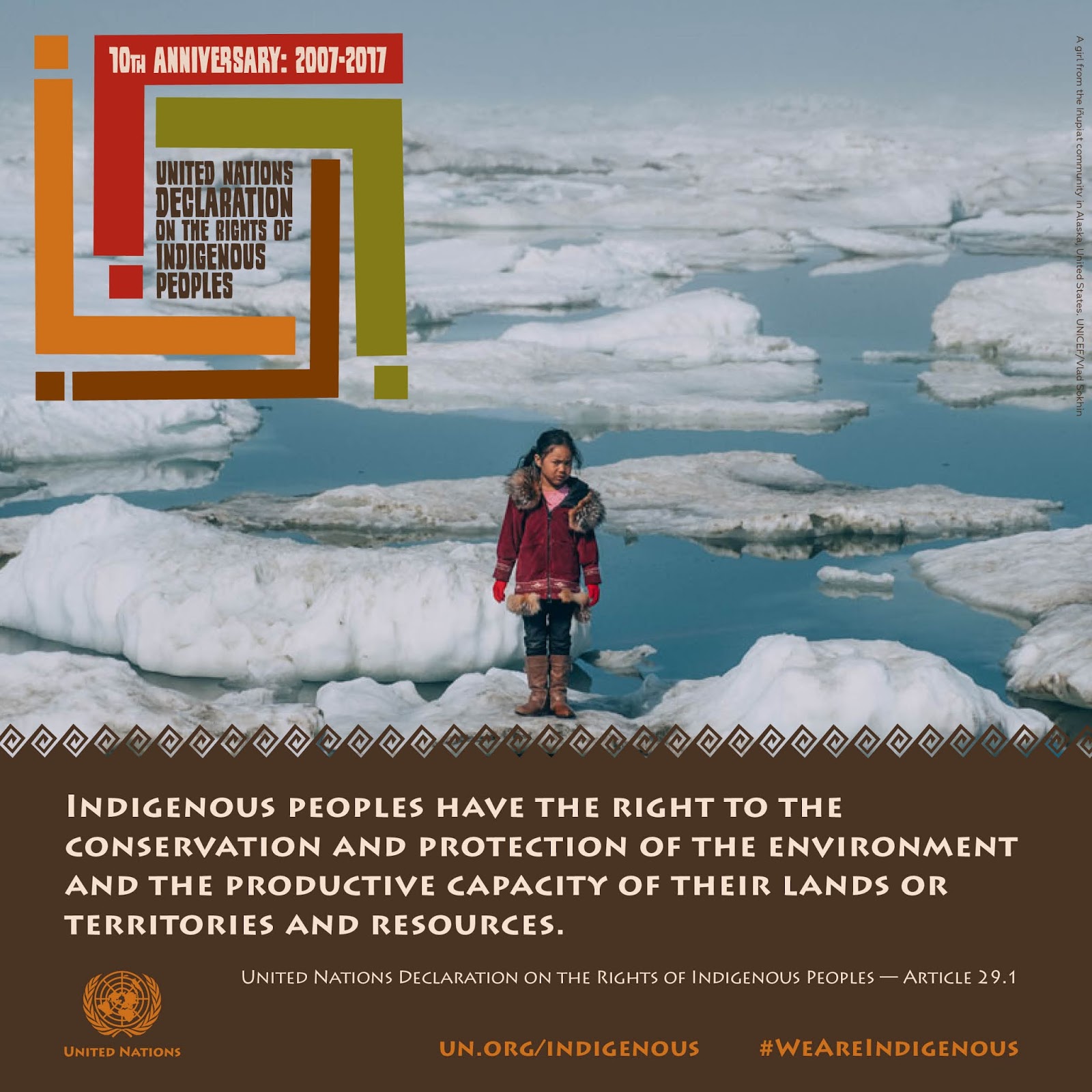 The Digital Teacher: Education : 10th Anniversary UN Declaration of the ...