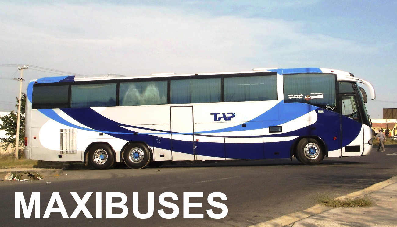 MAXIBUSES: TRANSPORTES Y AUTOBUSES DEL PACÍFICO (TAP)
