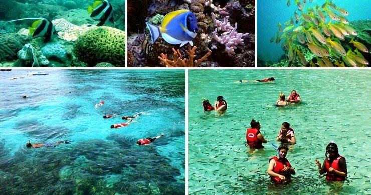 Langkawi Great Experience Traveler/Langkawi Car Rental +6019-4621328 ...